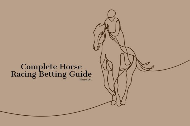 Learn How to Bet on Horse Racing (Online Guide for Beginners)