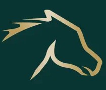 The best books on horse racing betting to read? - Horse.Bet