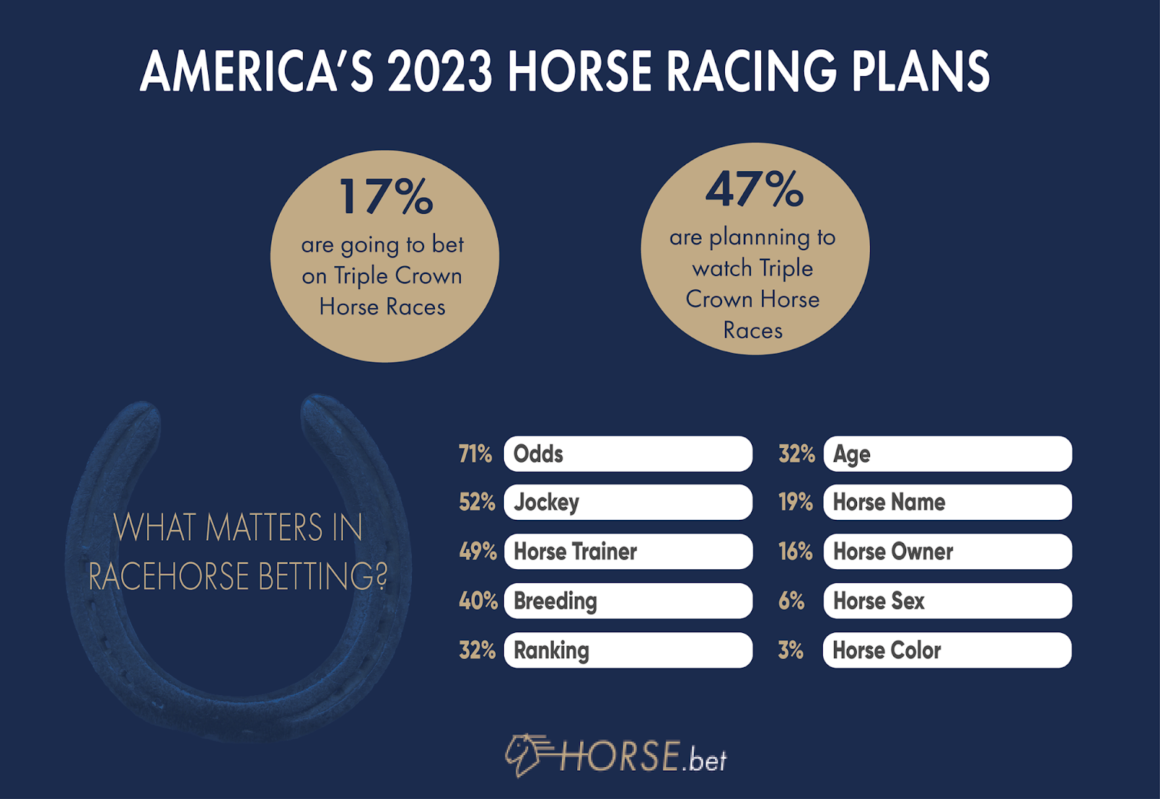 Best and Worst Racehorse Names 2025 with Ranking and Generator